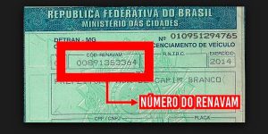 O que é Renavam e como consultar o seu passo a passo | Blog da Superbid